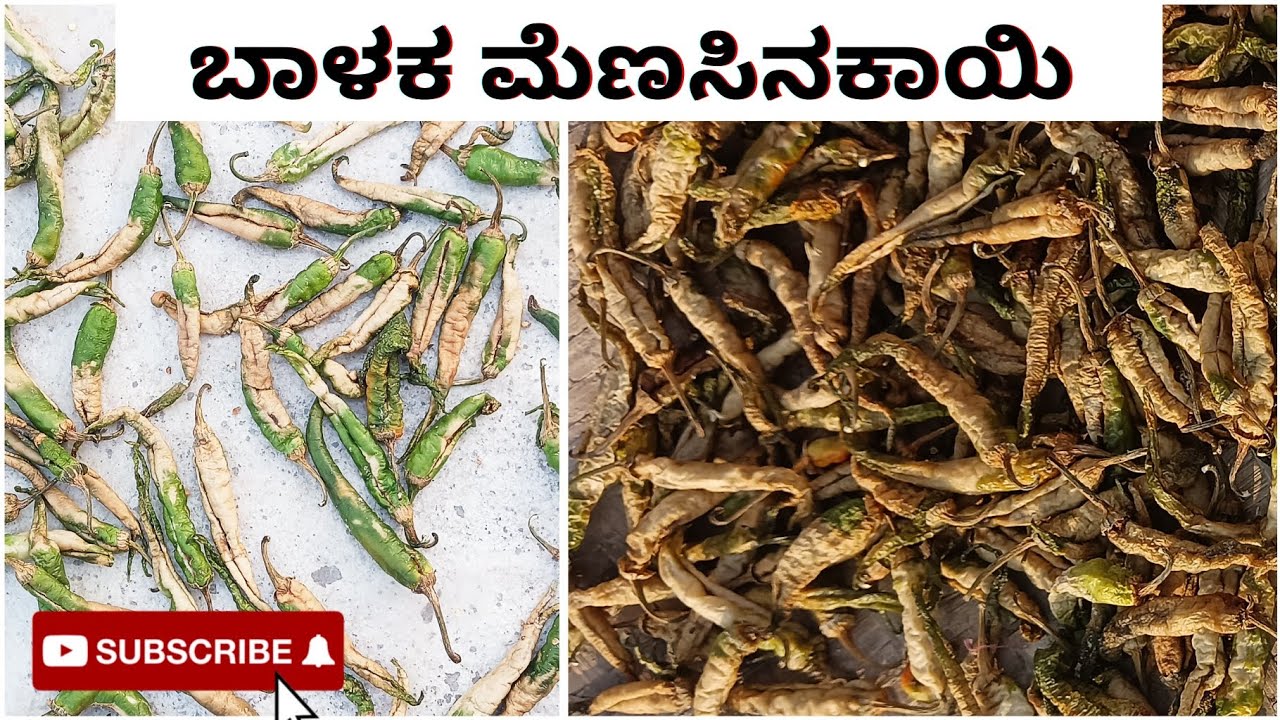 ಬಾಳಕ ಮೆಣಸಿನಕಾಯಿ | how to make ಬಾಳಕ ಮೆಣಸಿನಕಾಯಿ | how to make chilli ...