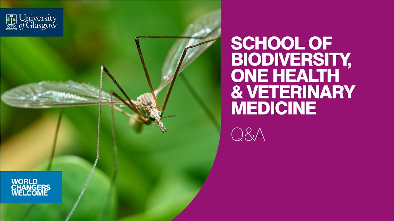 School of Biodiversity, One Health & Veterinary Medicine (BOHVM ...