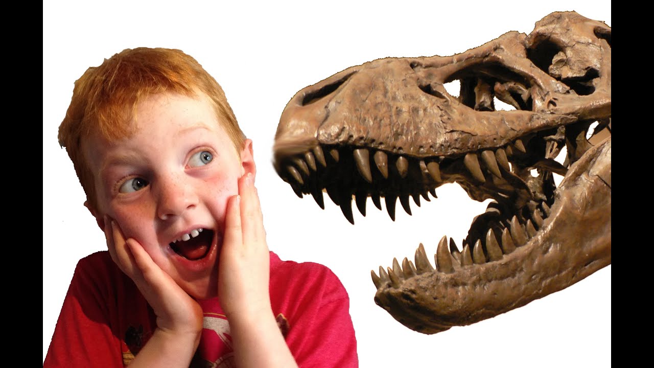 Things to do With Kids: The Ultimate Fossil Adventure - YouTube