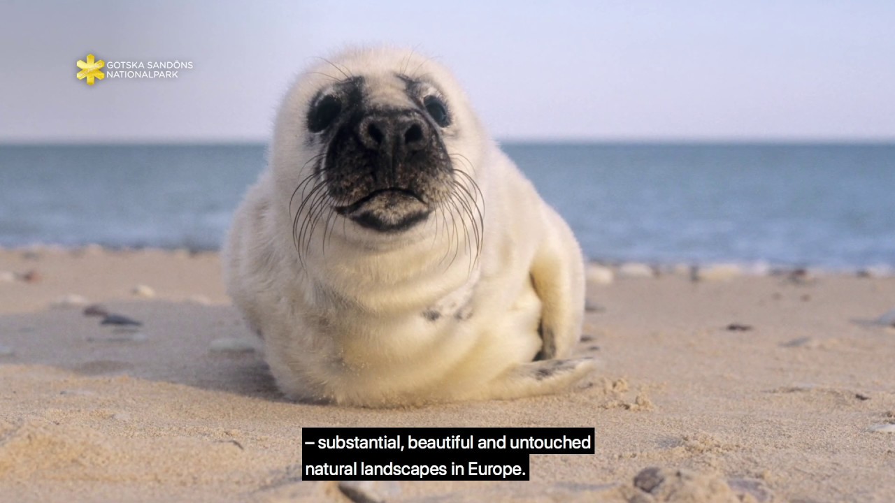 Welcome to Sweden's national parks | Swedish EPA - YouTube