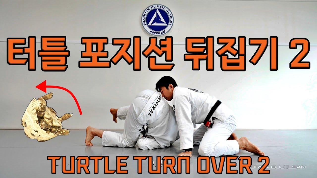 주짓수 유도 터틀포지션 뒤집기2 TURTLE TURN OVER [4K] - YouTube