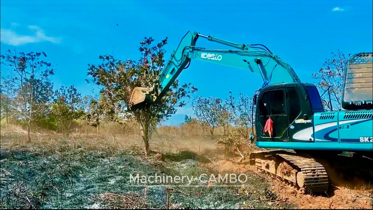 Excavator dig up trees to clear farmland - YouTube