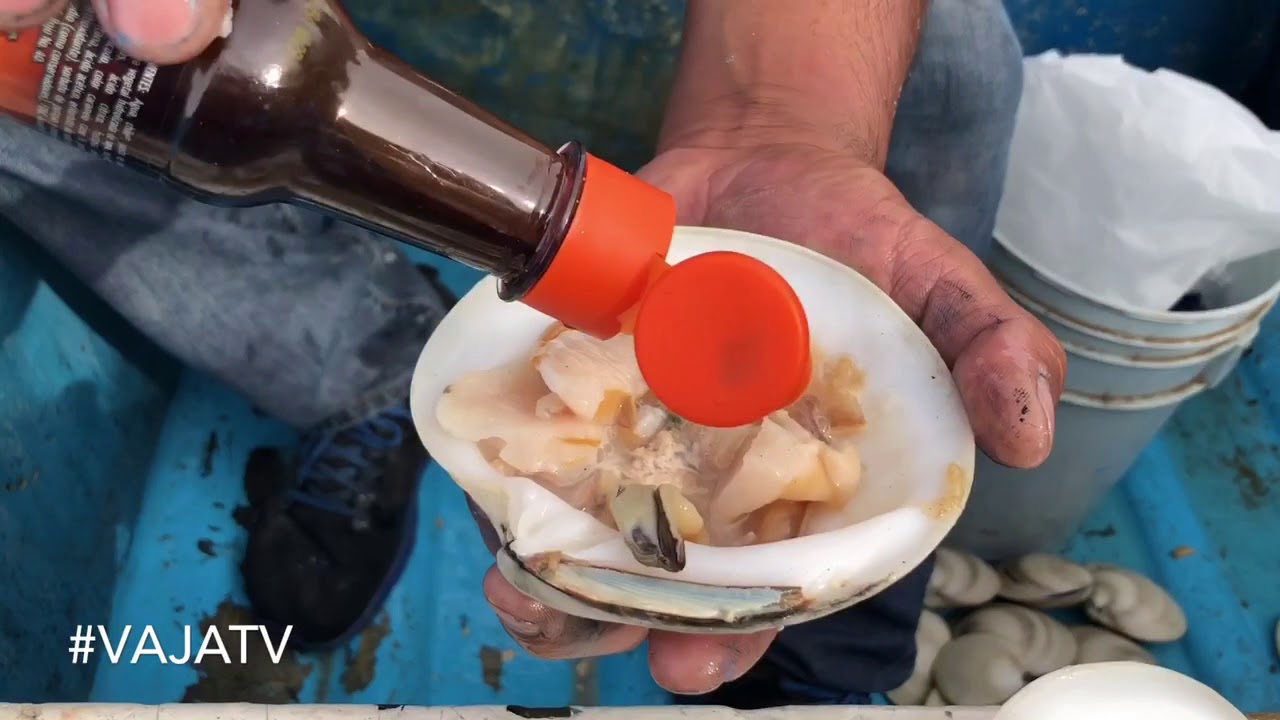 Preparación de riquísimas almeja Reyna Bahía de Kino - YouTube