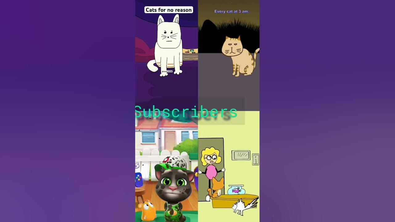 My Cat Every Night 😸part 1 Shorts Youtube