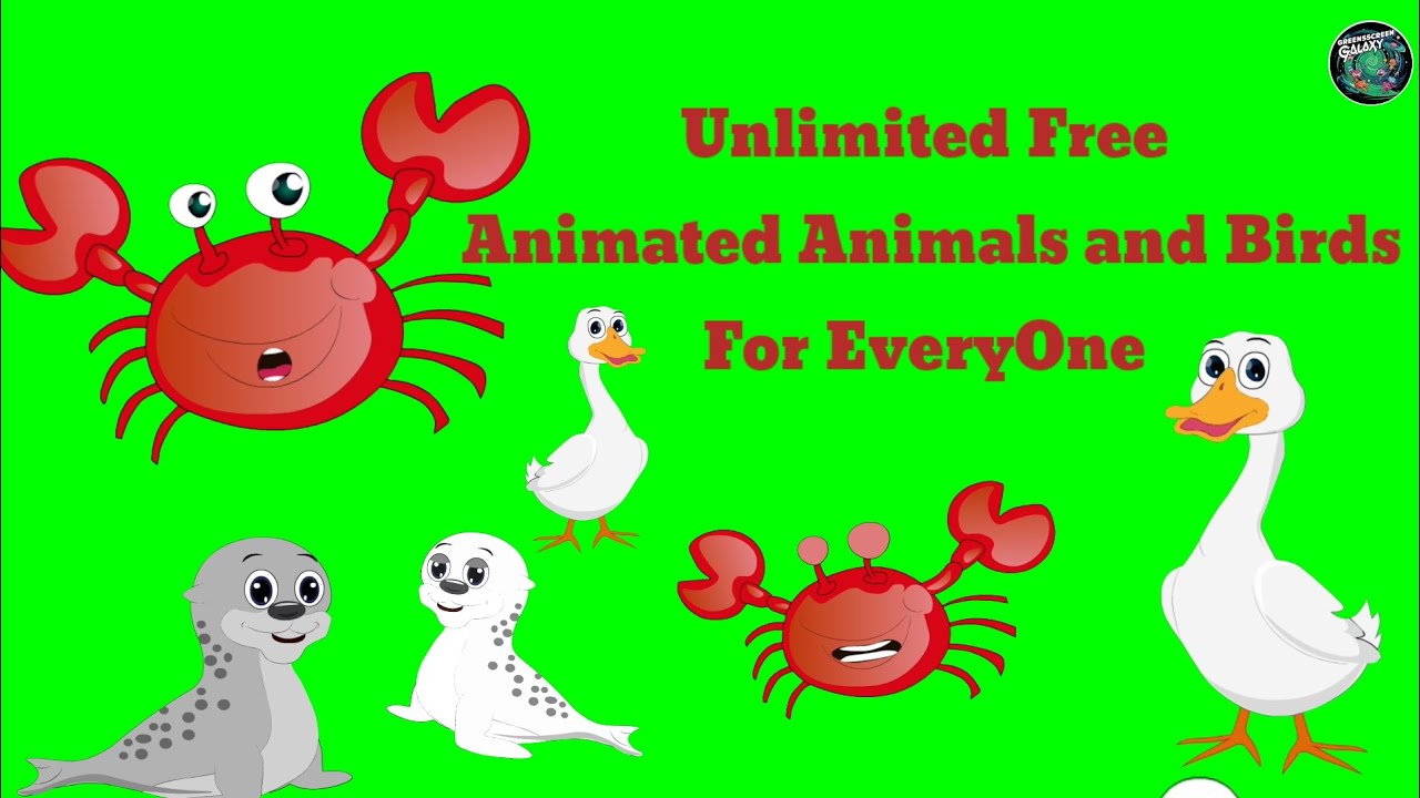 Copyright free Unlimited Animated Animals and Birds|Animated Seal ...