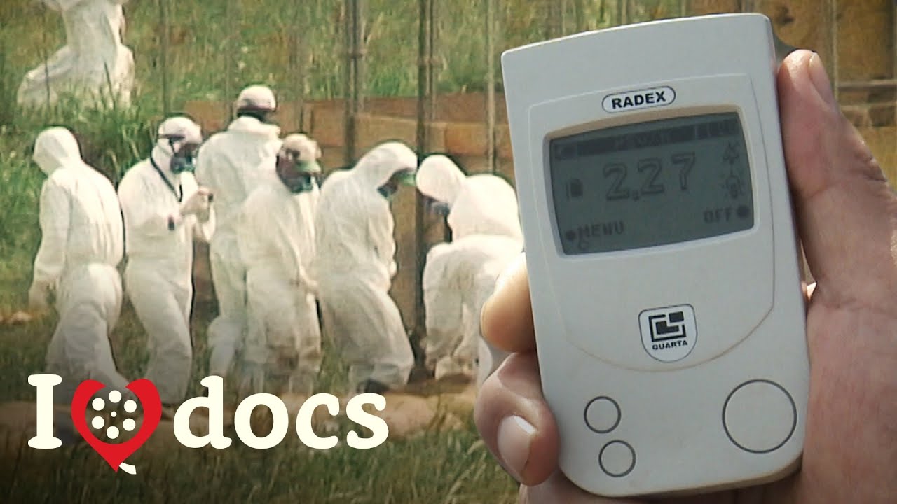Radiation Poisoned Livestock In Fukushima - Nuclear Cattle - Fukushima ...