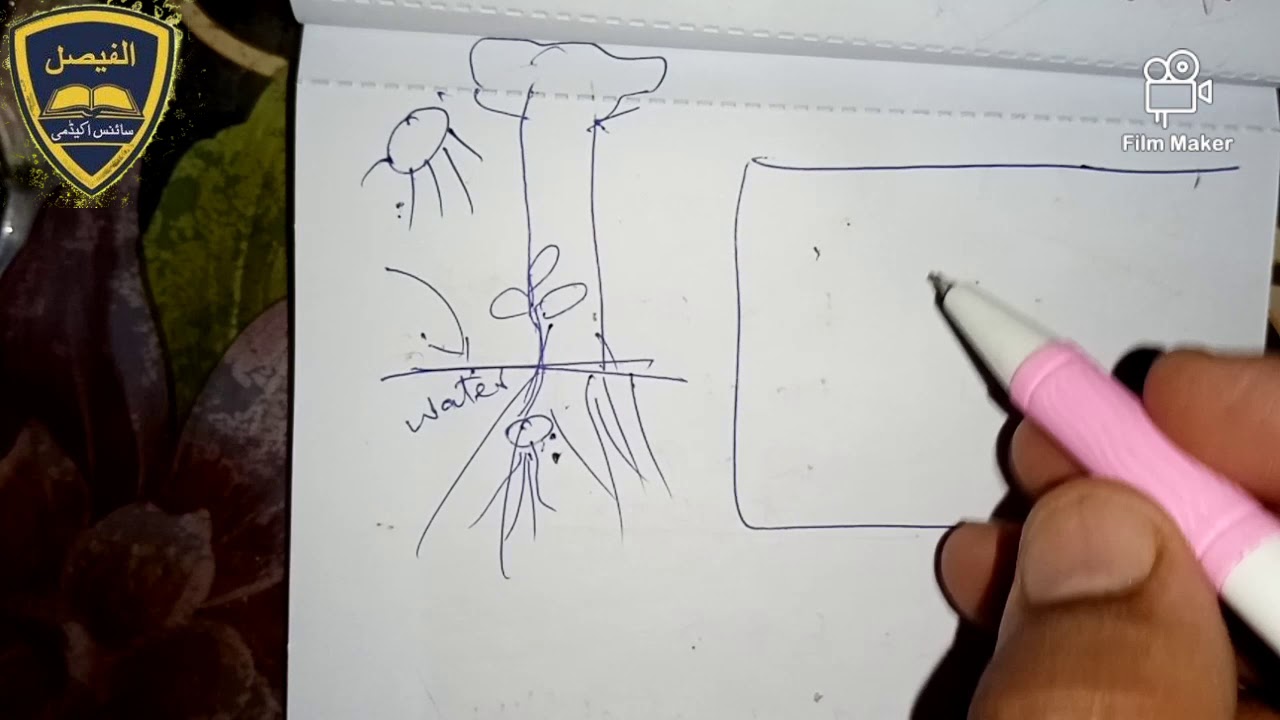 Interconversion of Energy + Mass-Energy Equation. PHYSICS 9TH - YouTube