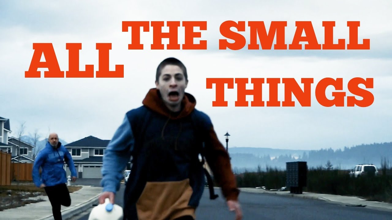 All The Small Things unofficial music video - YouTube