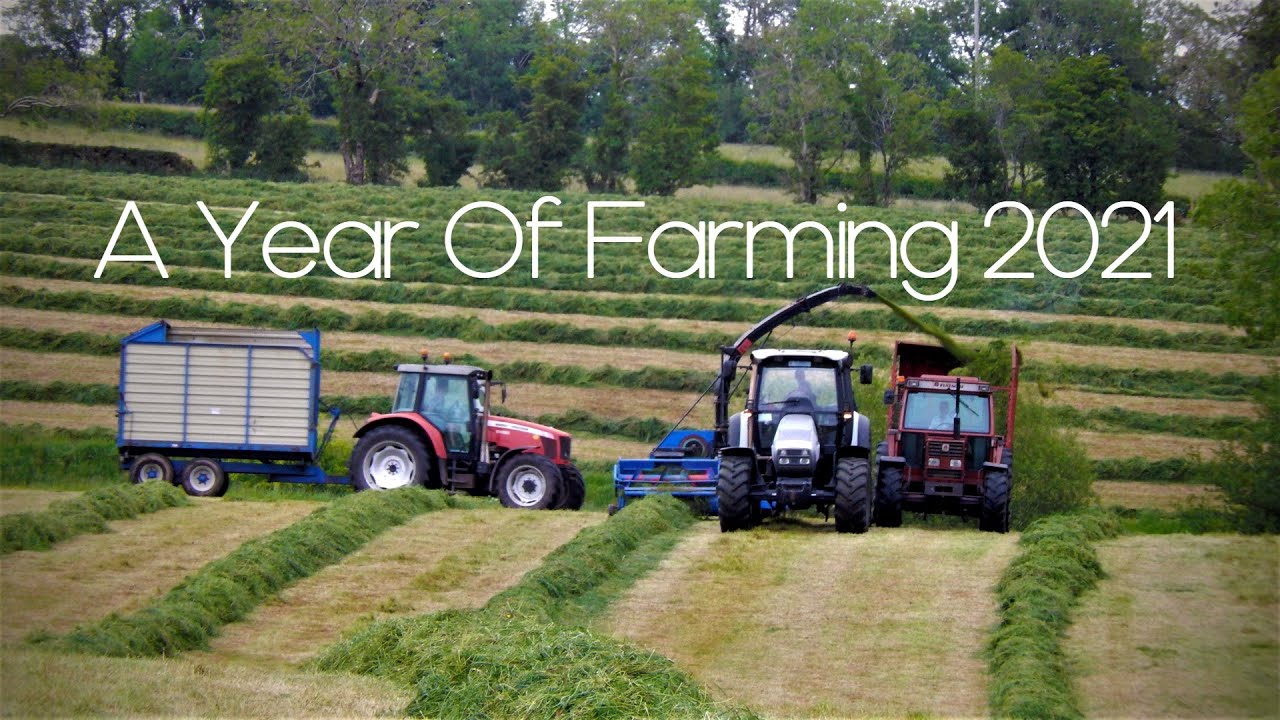 A Year Of Farming | 2021 Roundup - YouTube