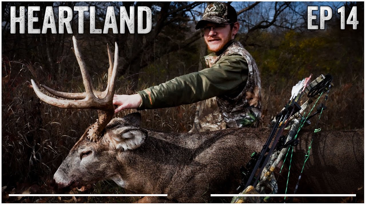 Public Land Stud Down In Iowa, Bow Hunting The Late Rut #hunting # ...