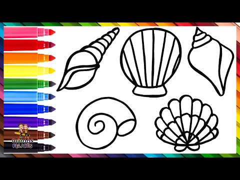 Dibuja y Colorea Conchas De Mar Arcoiris 🐚🦪🌊🌈 Dibujos Para Niños