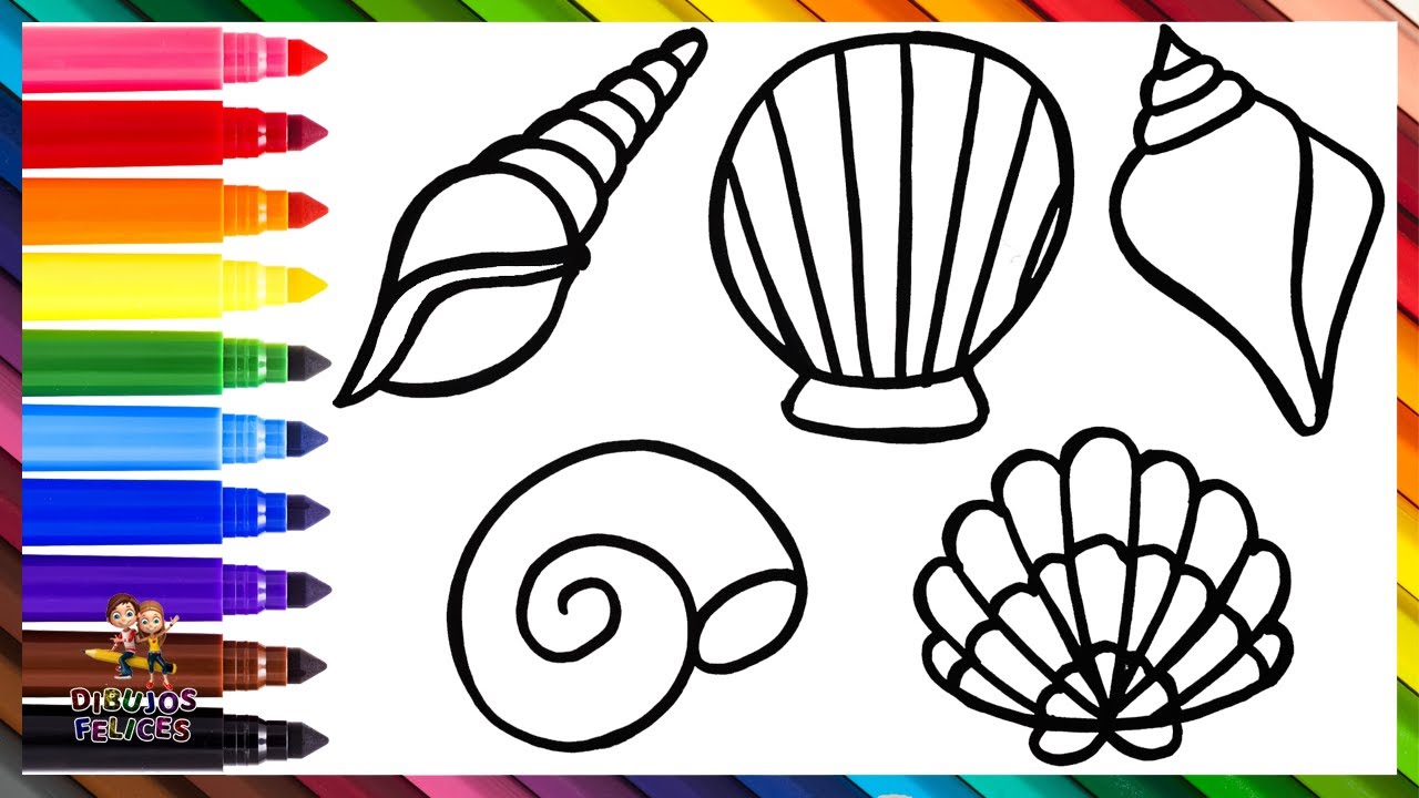 Conchas De Mar Para Colorear