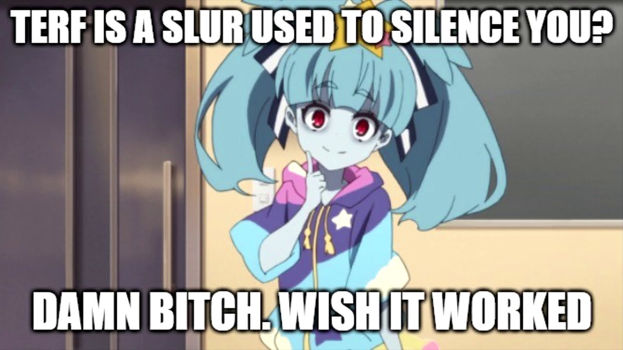 TERF is a slur used to silence you? - YouTube