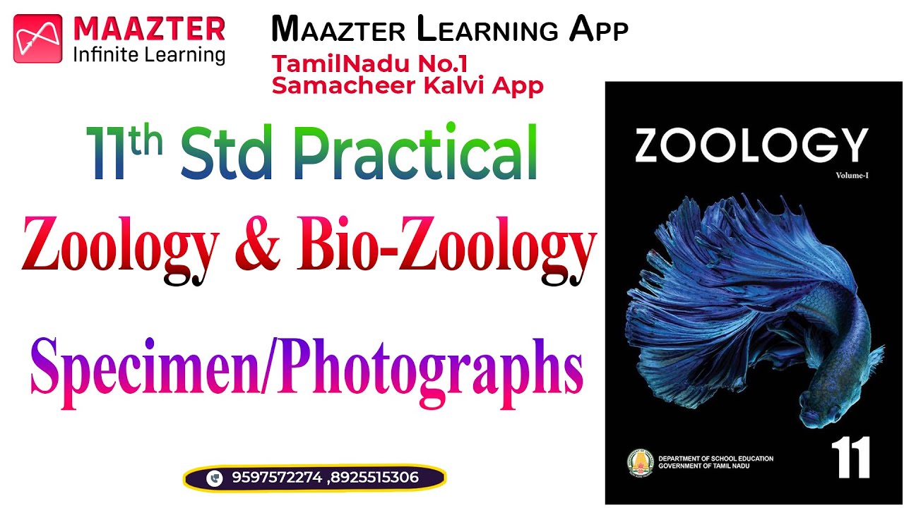 11th Std Zoology & Bio-zoology practical | Specimen/Photographs ...