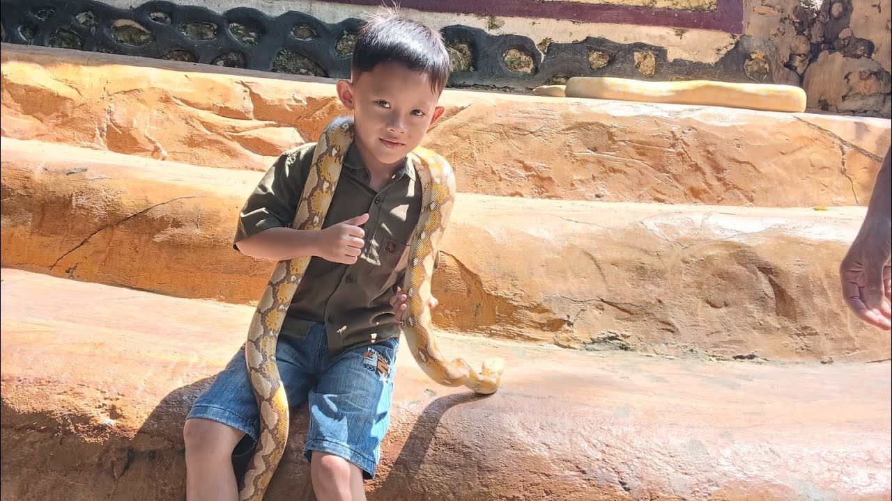 interaksi dengan binatang lucu di Mini zoo kemuning karanganyar# ...