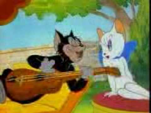 Aşık kedi