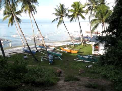 Lot in Bingag, Dauis, Bohol - YouTube