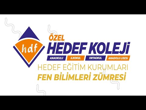Fen Bilimleri 7. Sınıf İnsanda Üreme