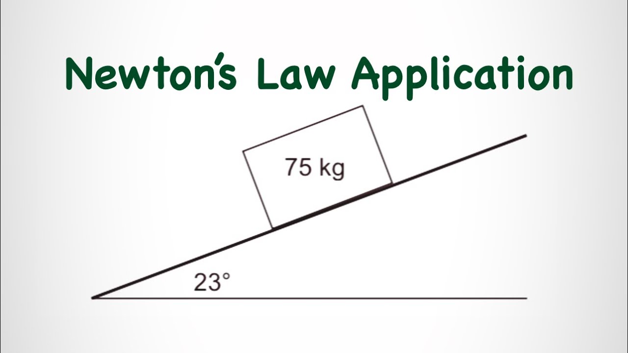 Grade 11 Newton’Law Application| KZN 2023 Exam Question - YouTube
