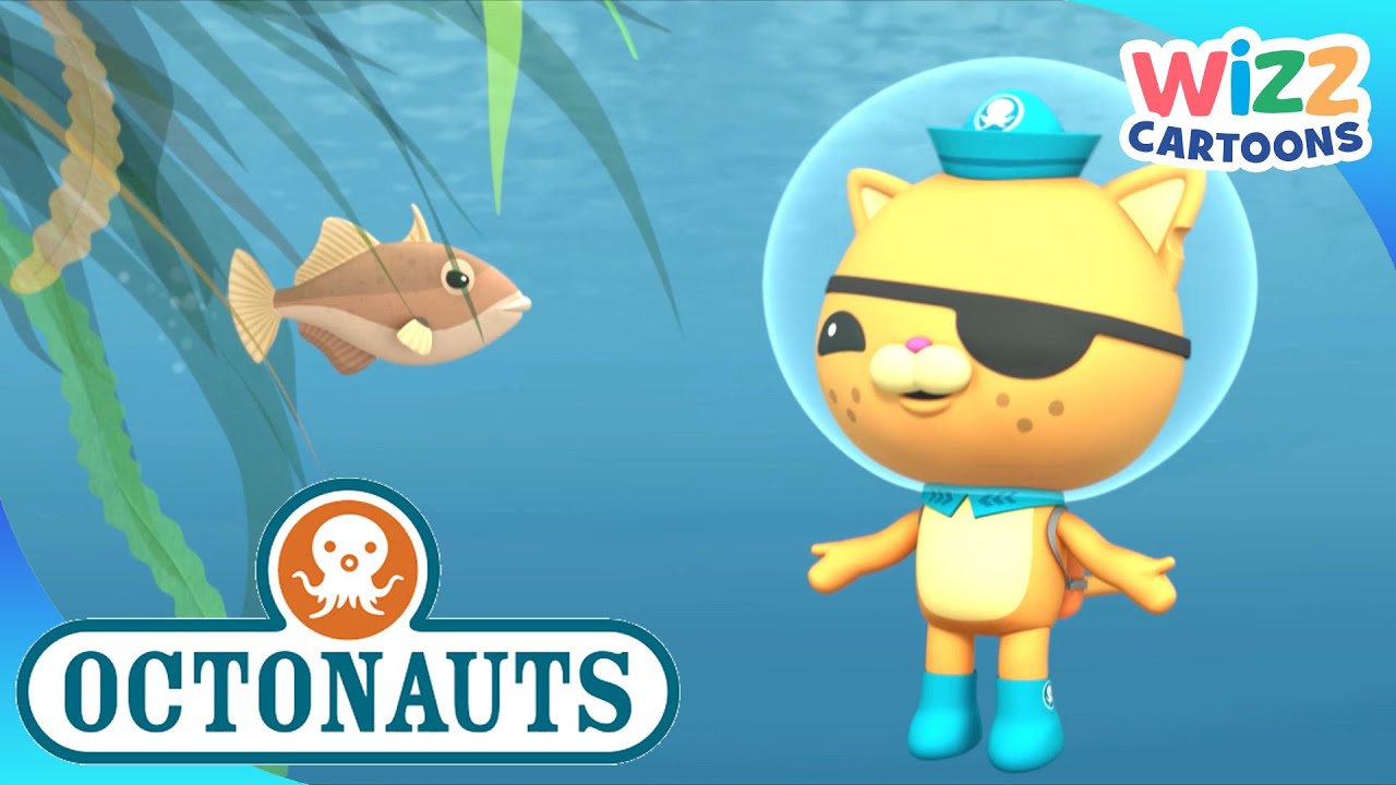 @Octonauts - Sea Friends | Compilation | Wizz Cartoons - YouTube