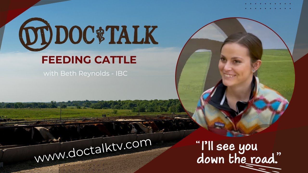 DocTalk Ep 604 - Feeding Cows with Beth Reynolds - YouTube