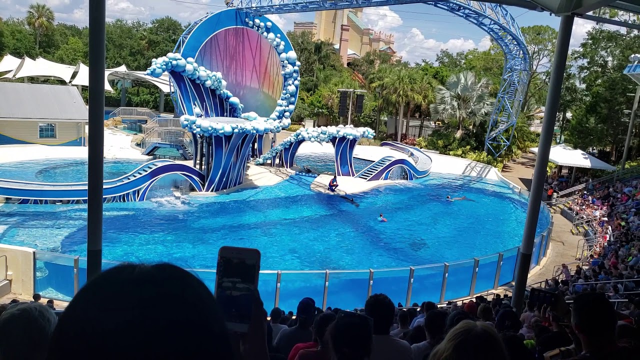 Seaworld Orlando - Dolphin Show (Blue Horizon) June, 19 - YouTube