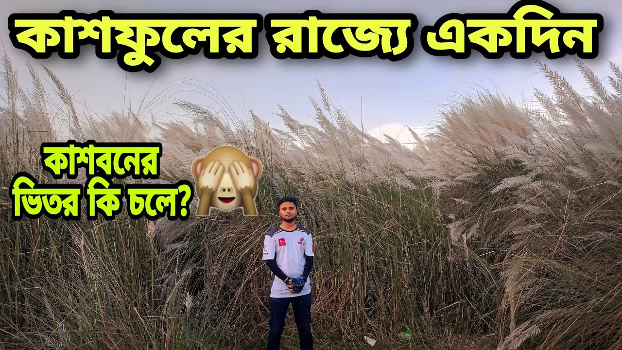 কাশফুলের রাজ্যে একদিন||Mymensingh Gafargaon Kashfull Tour - YouTube