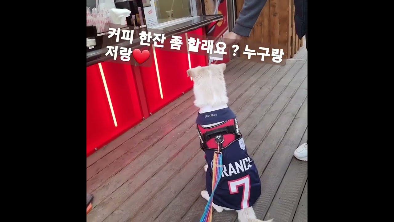 커피한잔할래요저랑 Youtube