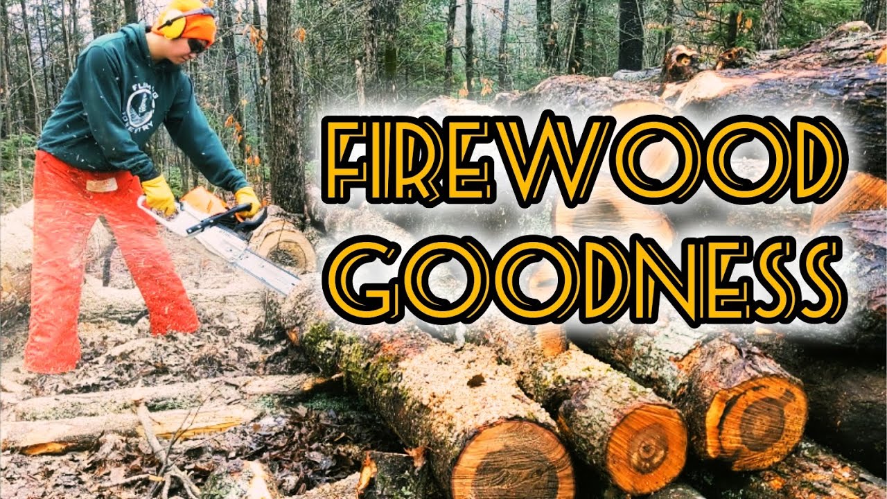 Stihl 462 RIPPING Through Logs | Good ol' sawing - YouTube