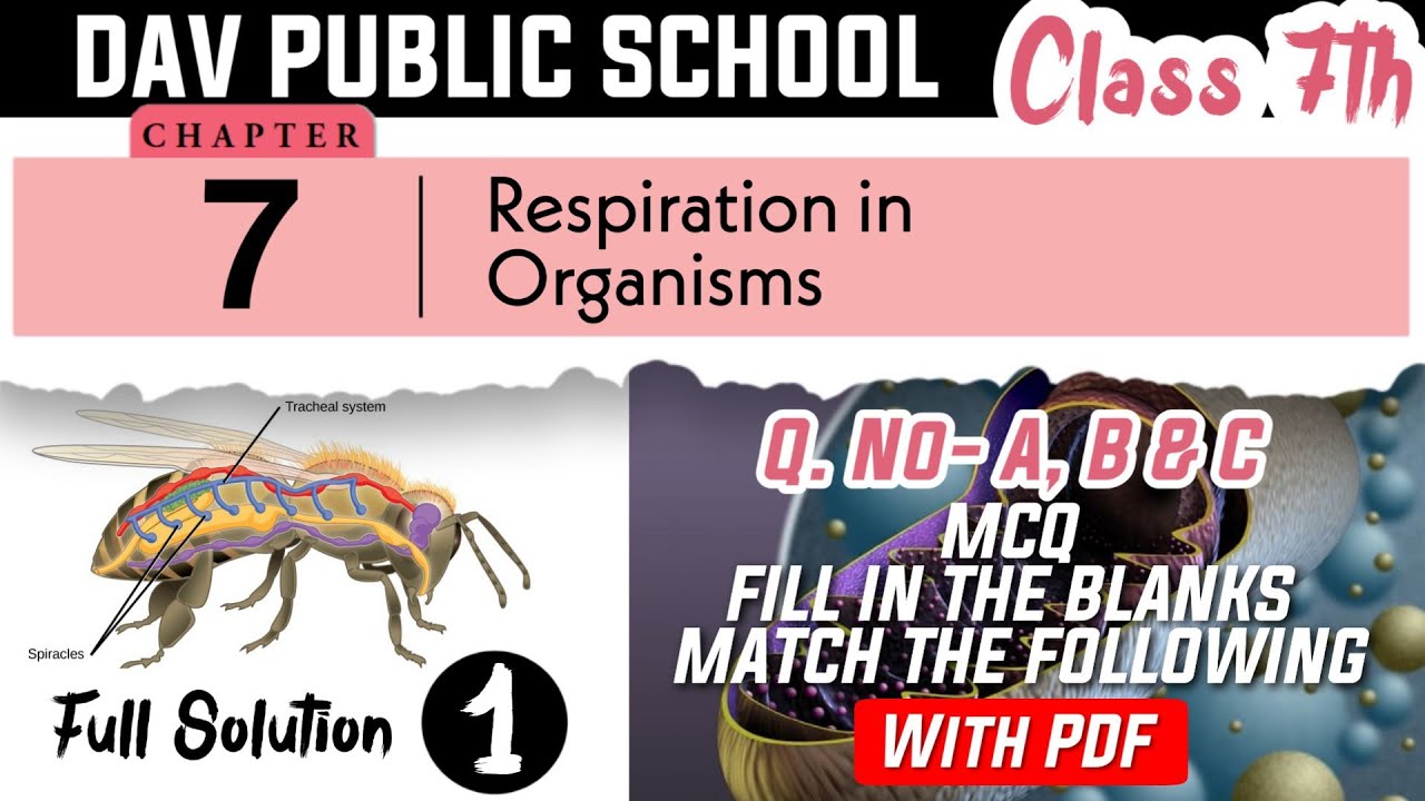 Chapter 7 | Respiration in Organisms | Class 7 DAV Science | Question ...