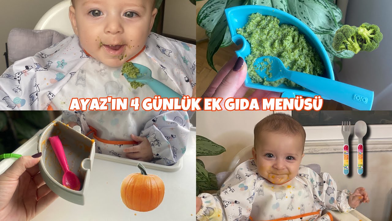 EK GIDAYA NELERLE BAŞLADIK? | EK GIDA SÜRECİMİZ 🥗🥑🍎🥦 - YouTube
