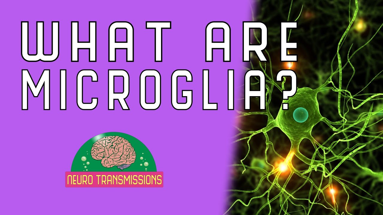 Microglia