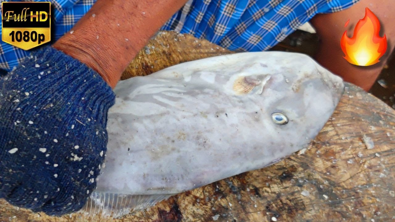 KASIMEDU 🔥SERUPPU MEEN CUTTING | LEATHER JACKET FISH CUTTING🐟 | FISH ...