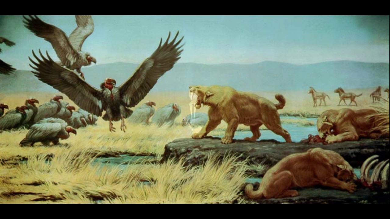 Teratorn sightings in New Mexico and beyond - YouTube