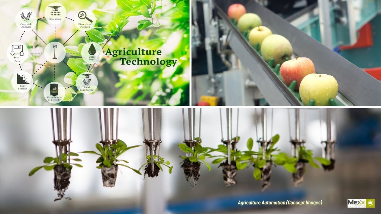 Tray Management System for Withcott Seedlings (Agriculture Automation ...