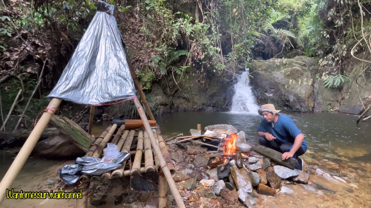SOLO CAMPING SURVIVAL, COOKING BUSHCRAFT AND BUILDING SHELTER BAMBOO IN ...