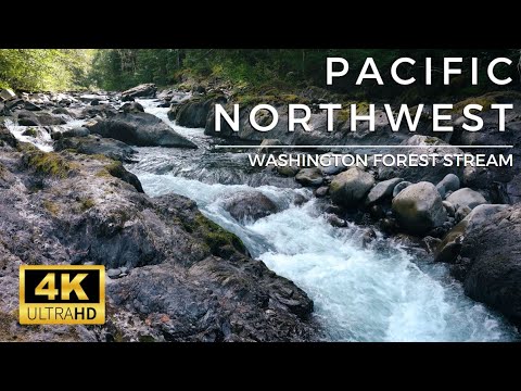 4K PACIFIC NORTHWEST STREAM SOUNDS | Washington Forest Ambience | 3 ...