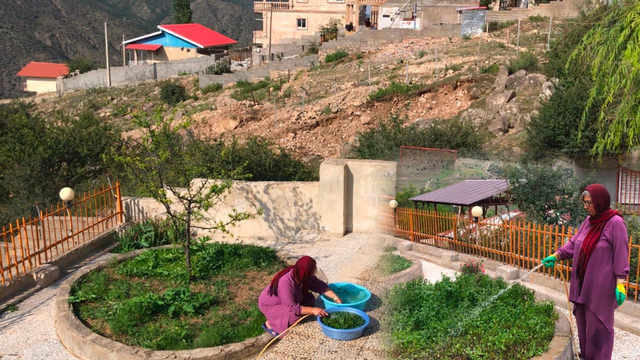 Village Life in Iran | Cleaning | Washing | Harvesting Fresh Mint - YouTube