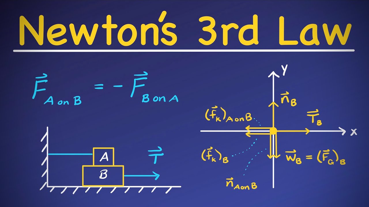 Newton s 3rd Law Basics Free Body Diagrams YouTube