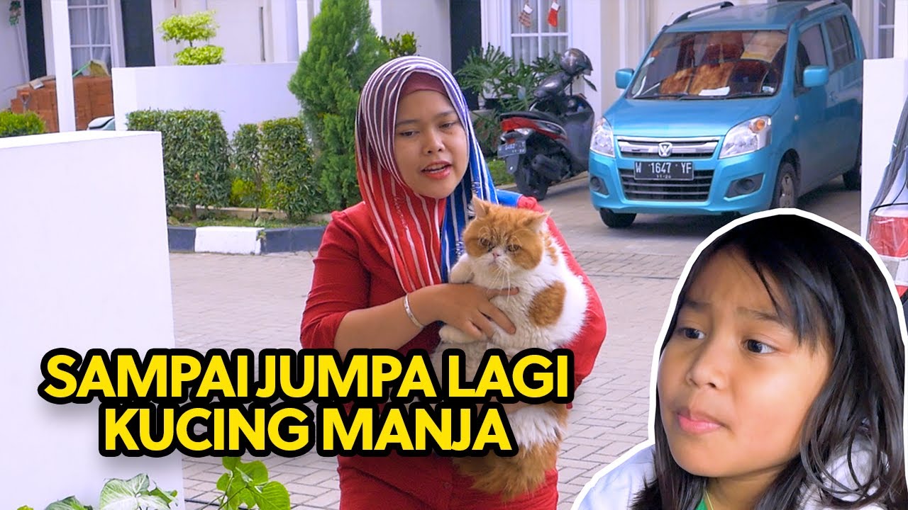 SAMPAI JUMPA KUCING MANJA | TITIPIN HEWAN PELIHARAAN DI PETSHOP SEBELUM ...