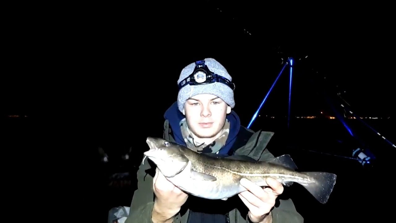 Live cod fishing River mersey with adbfishing - Sea fishing Uk - YouTube