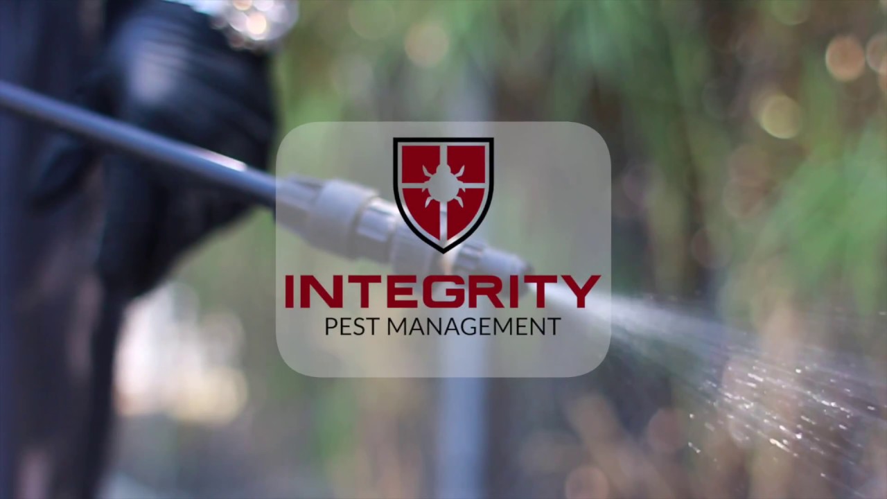 INTEGRITY PEST MANAGEMENT - YouTube