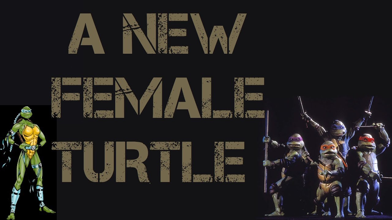 A New Female Turtle YouTube a-new-female-turtle-youtube