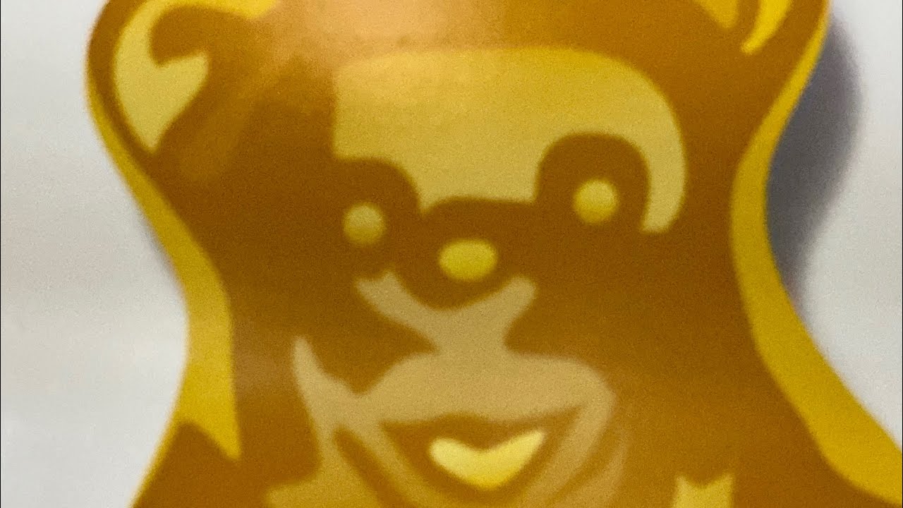 Goofy video 3 (Winter trip!) - YouTube