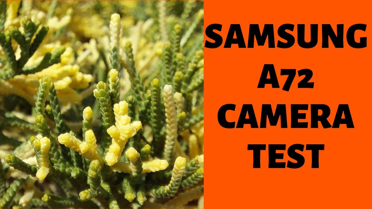 Samsung A72 (A725) Camera Test - YouTube