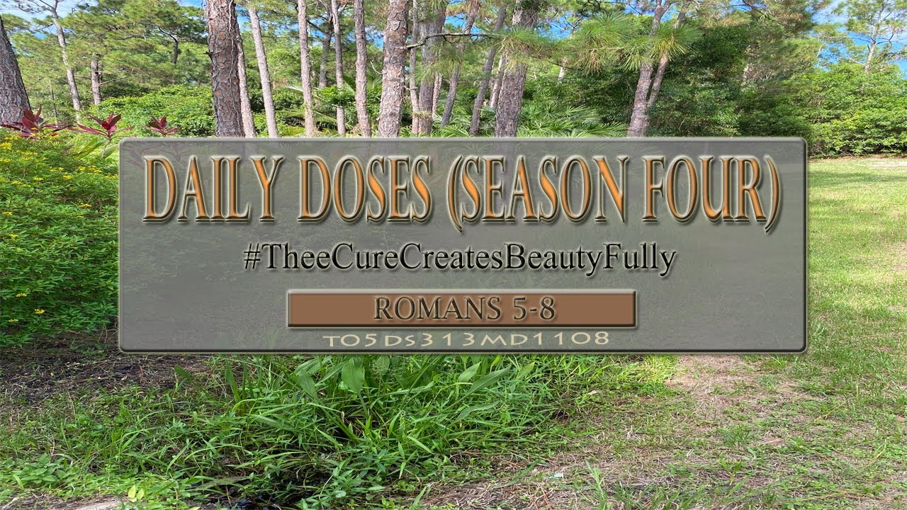 Daily Doses Season Four (Ep. 313) | Bible In One Year | WEB Translation ...
