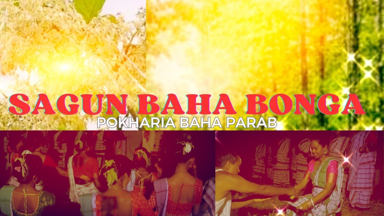 SAGUN BAHA BONGA 2024 🌿 || BAHA PARAB POKHARIA 🌿 | BAHA BONGA SPECIAL ...