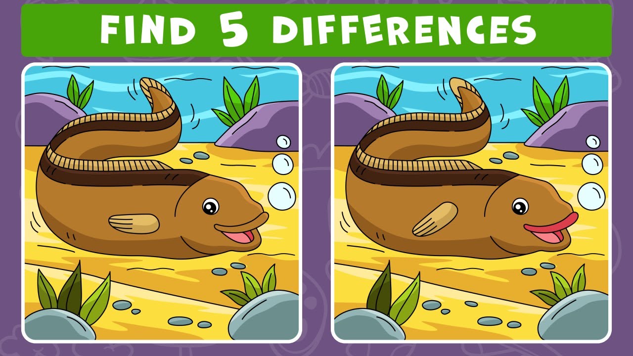 ⏱️ Quick Game - Can you Spot all the Differences? | Puzzle #9 - YouTube