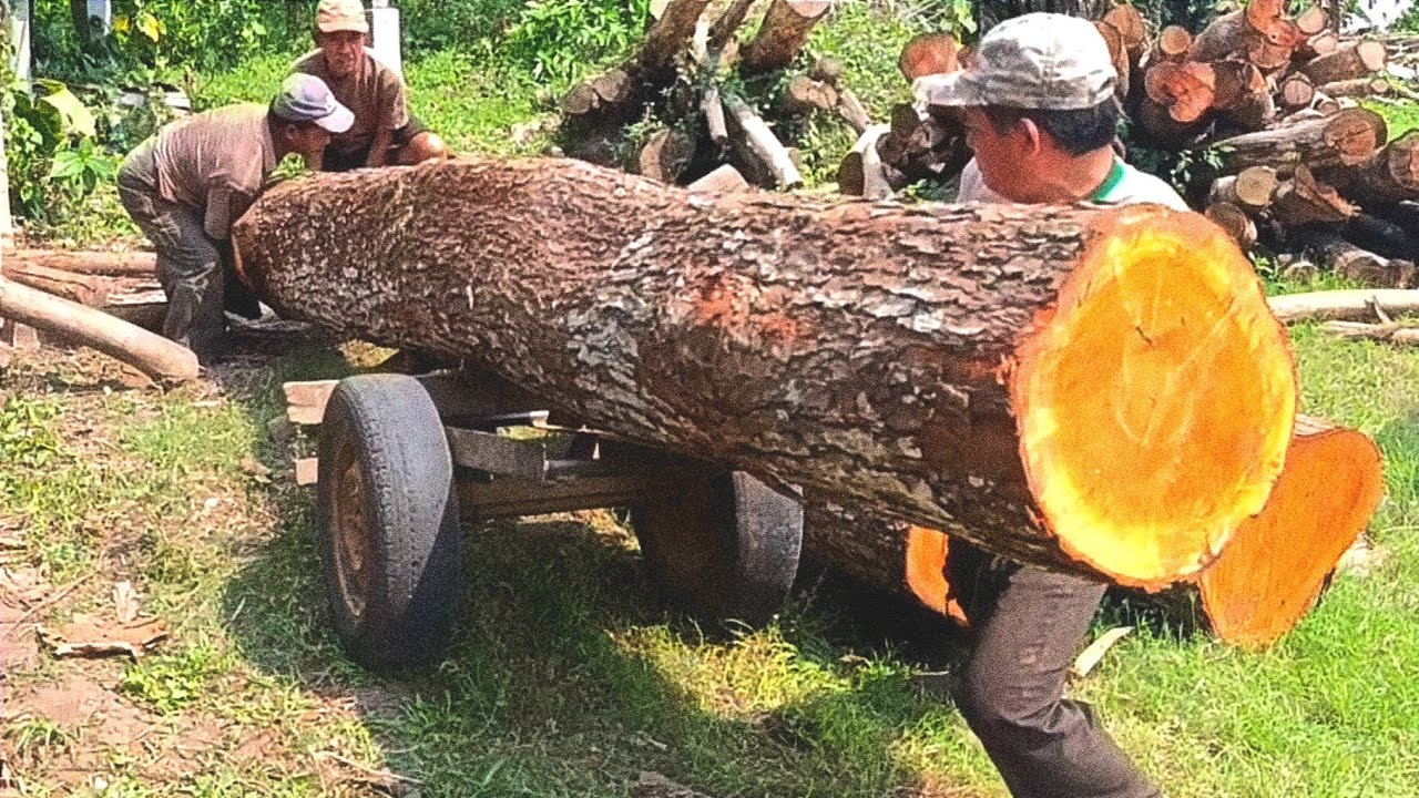hard work. sawing 430cm of mahogany wood - YouTube