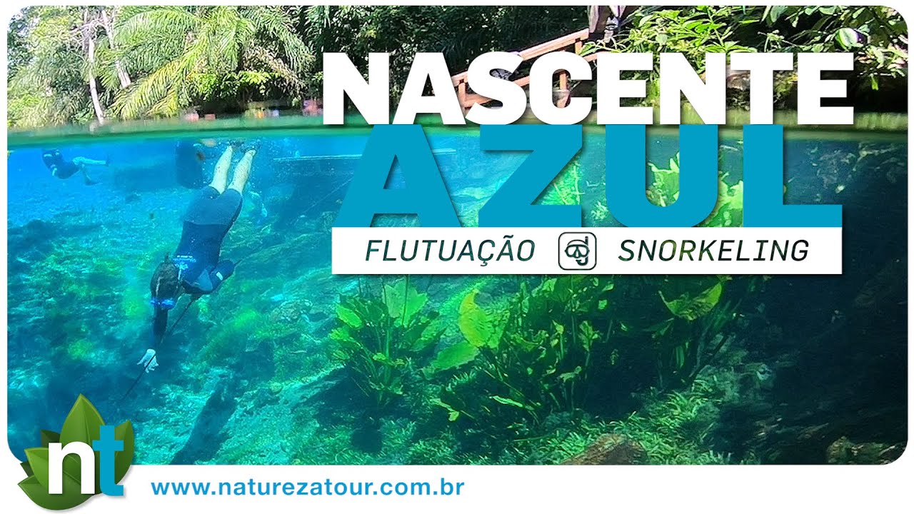 Nascente Azul - Bonito MS - Natureza Tour - YouTube